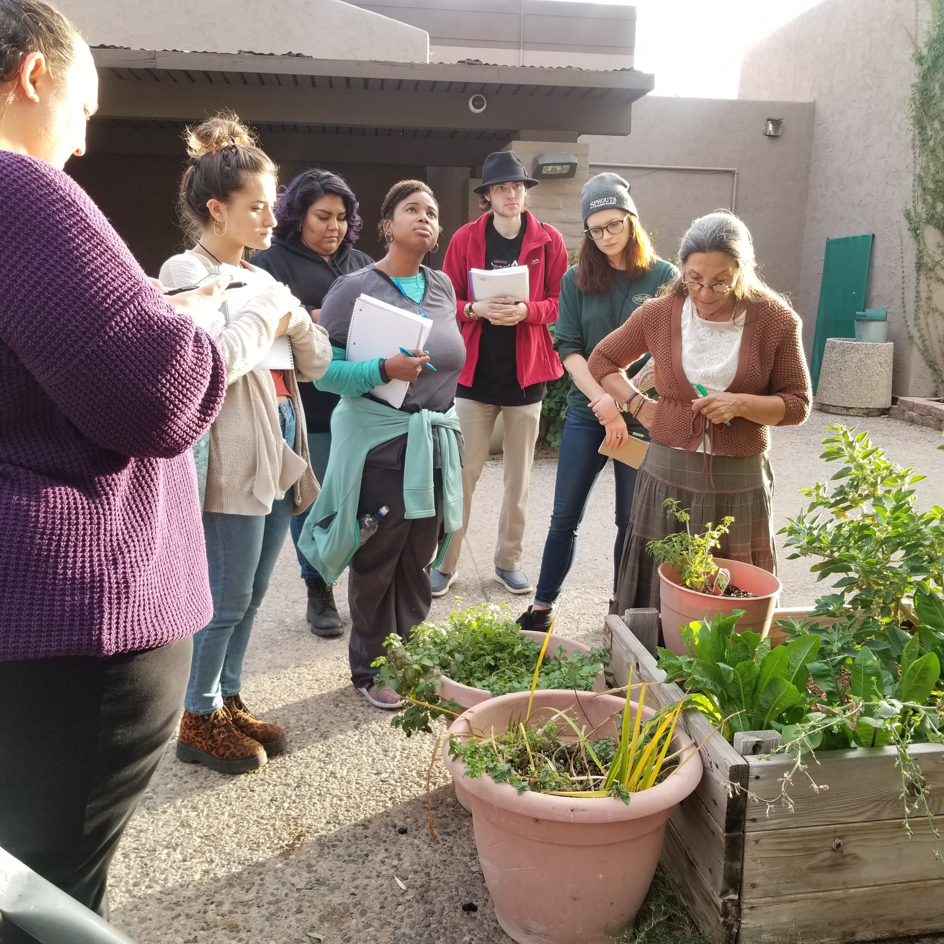 Learn Western Herbalism | Western Herbalism | Become an Herbalist Learn Western Herbalism | Western Herbalism | Become an Herbalist